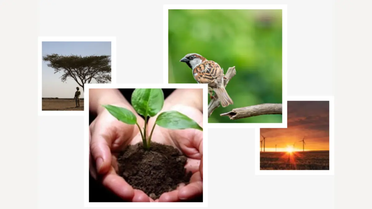 Political Security - The Human Security